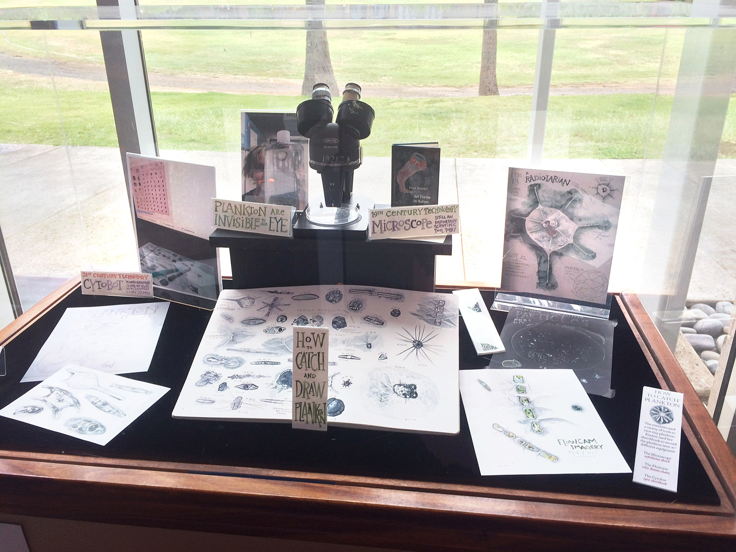 Traveling Artist-at-Sea Exhibit