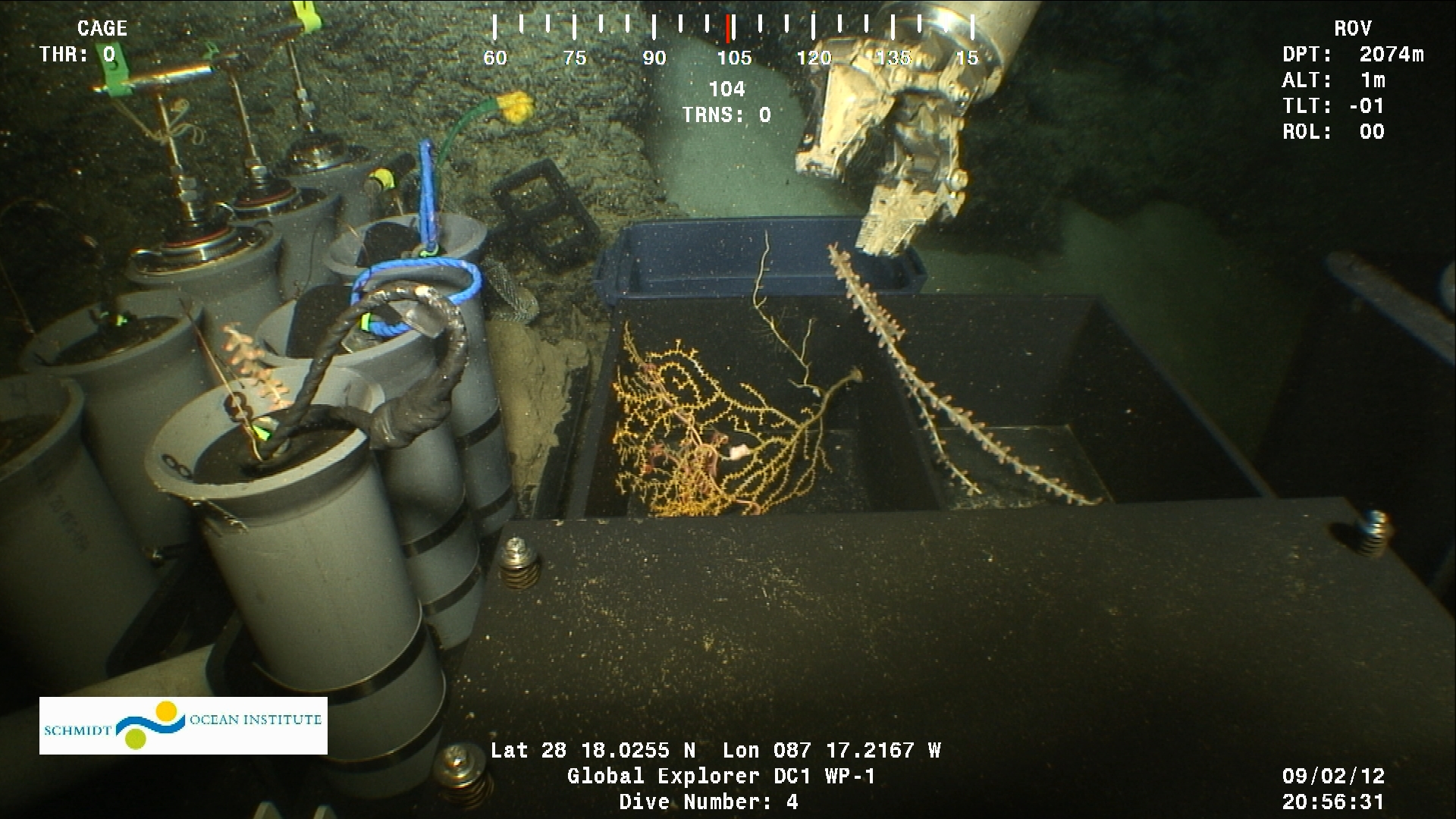 Cruise Summary for Deep Coral Shakedown - Schmidt Ocean Institute
