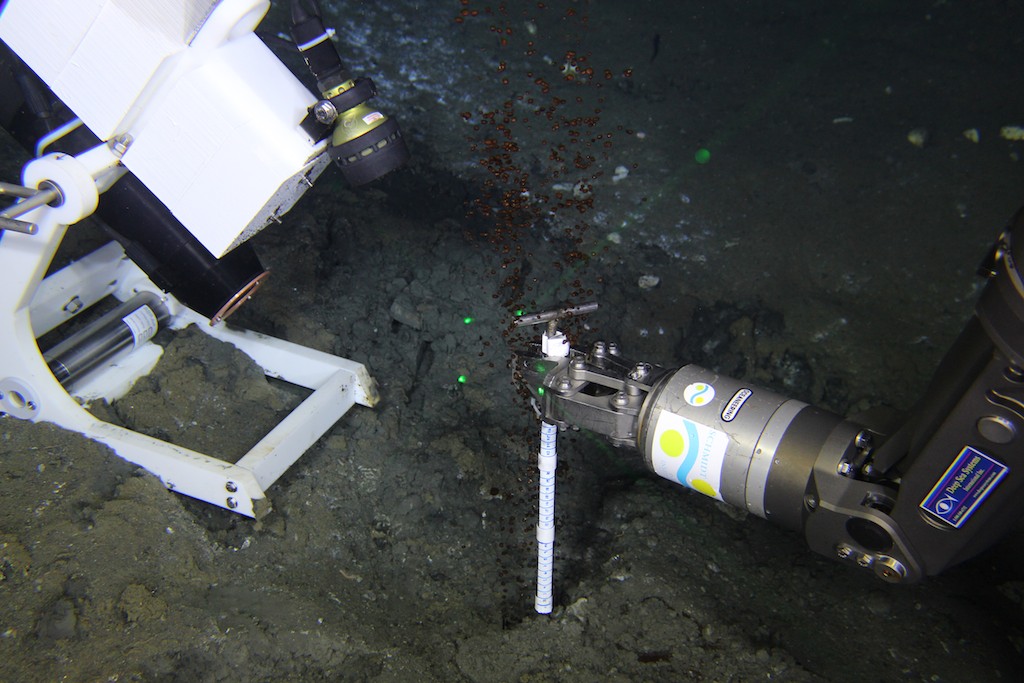Diving on the Megaplume - Schmidt Ocean Institute