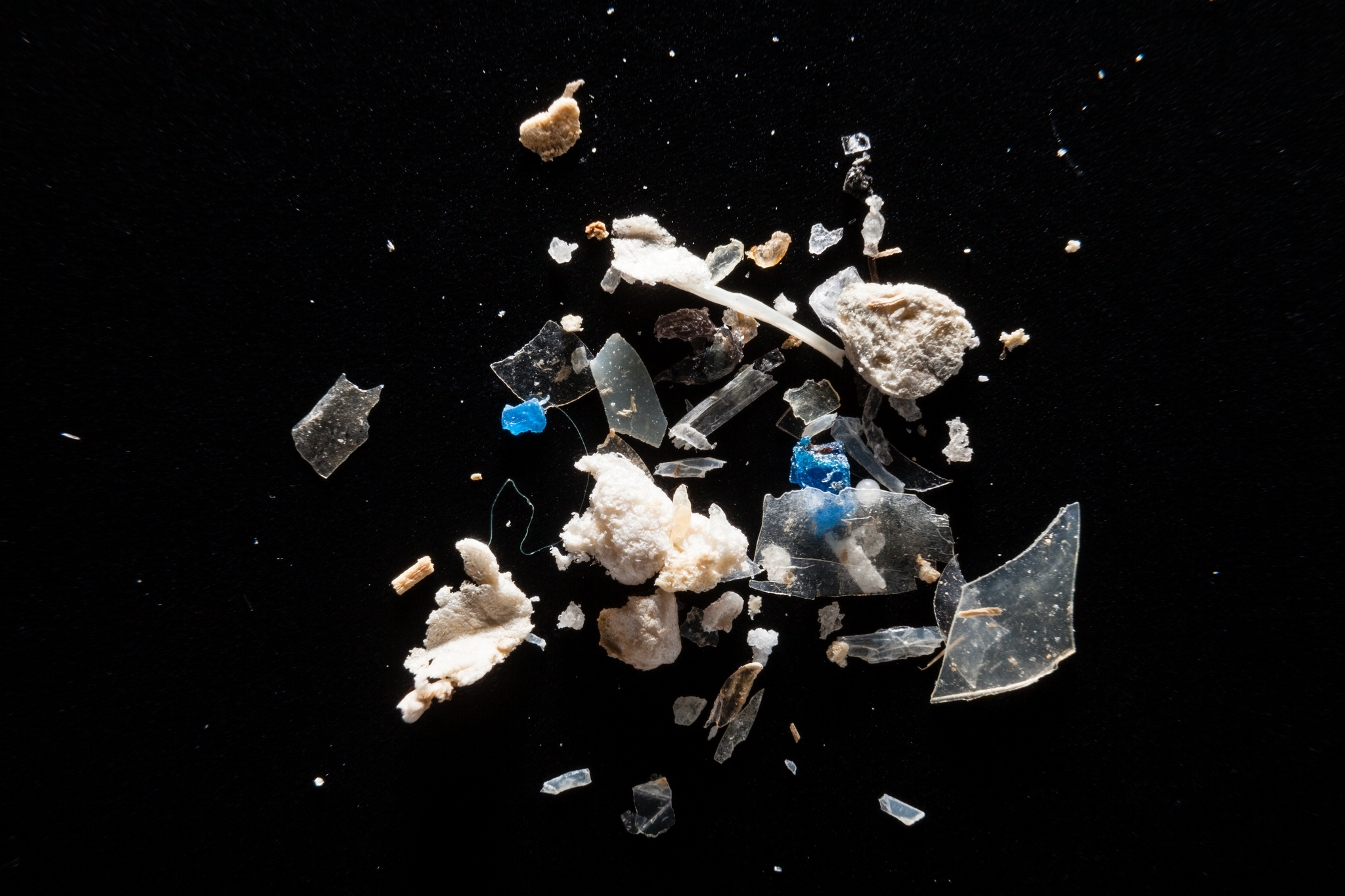 Microplastics Of The Alaskan Gulf Schmidt Ocean Institute