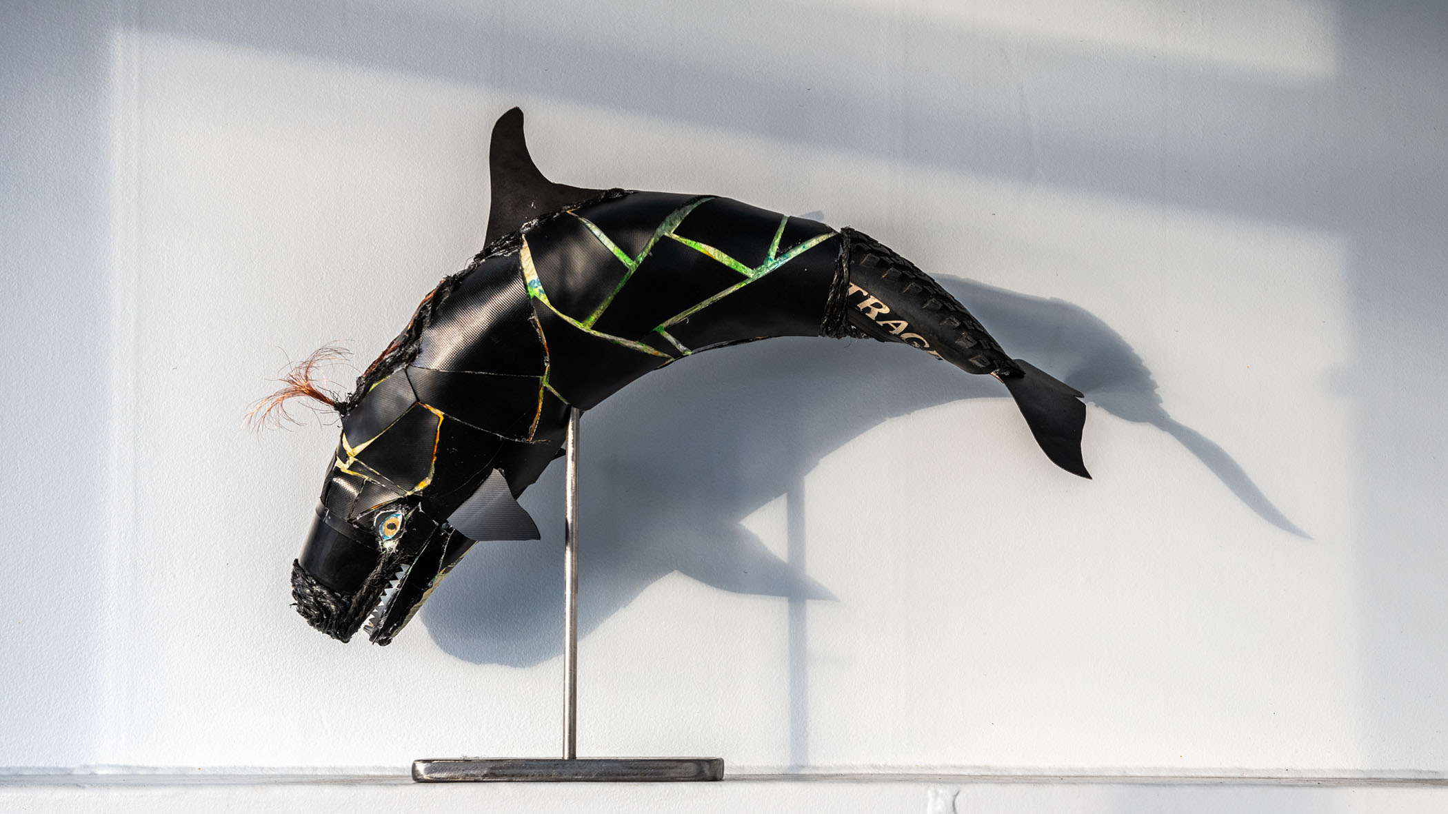 Listening for Cryptic Whales Species - Schmidt Ocean Institute