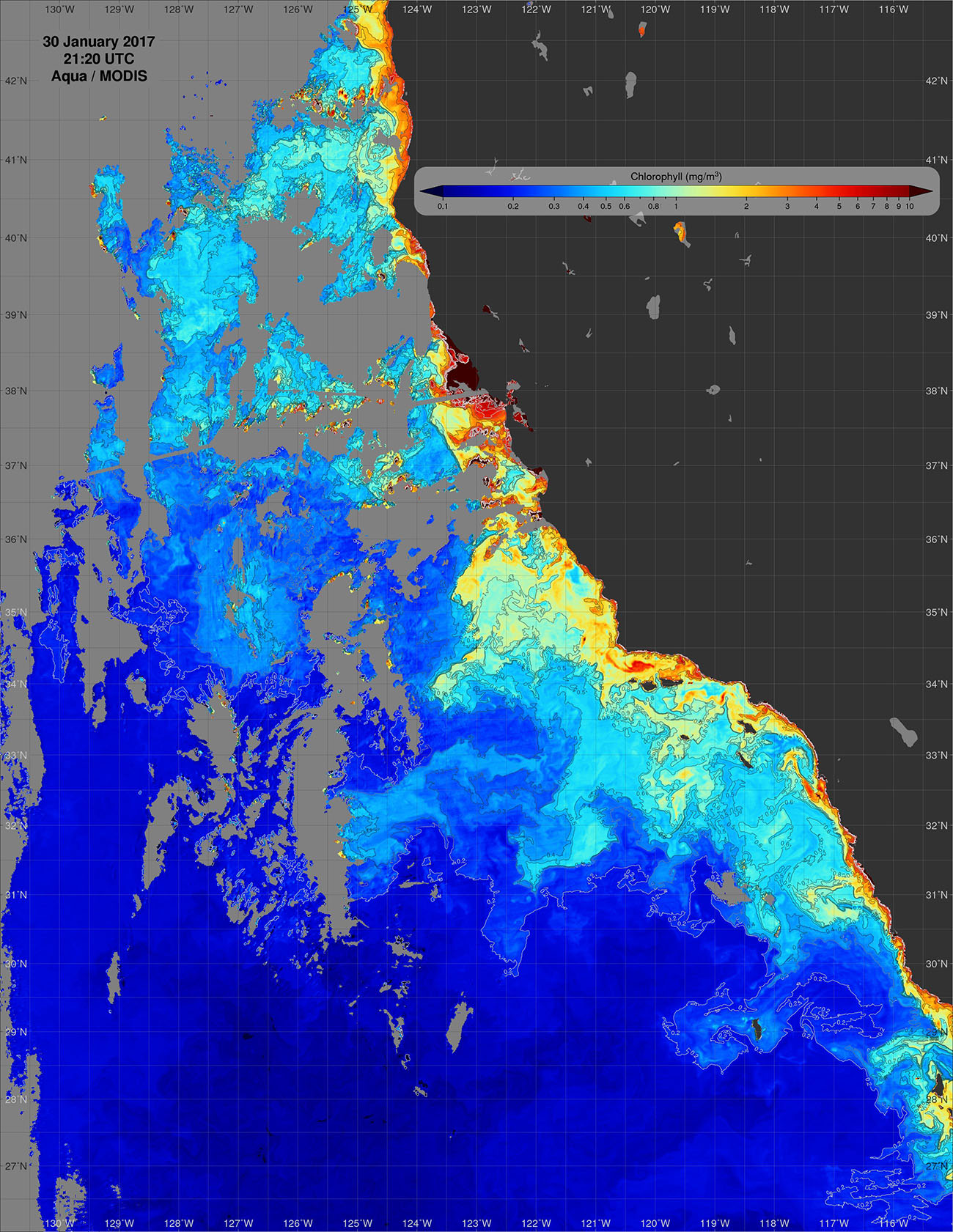 Going With the Flow - Schmidt Ocean Institute