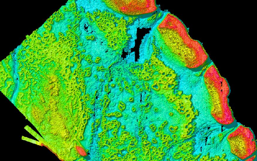 Reading the Reef - Schmidt Ocean Institute
