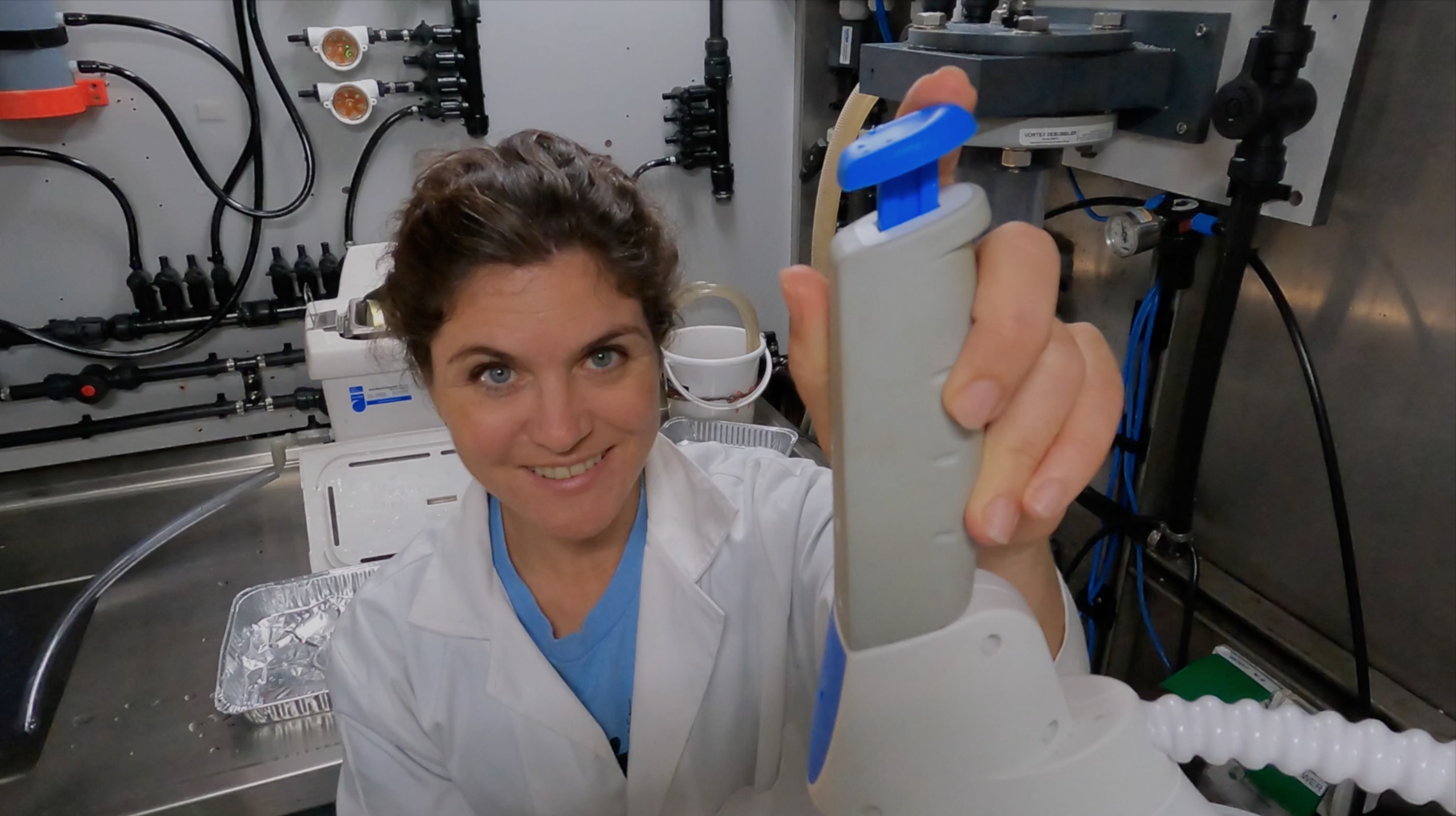 Making the Invisible Visible, Part 2 - Video Update - Schmidt Ocean ...