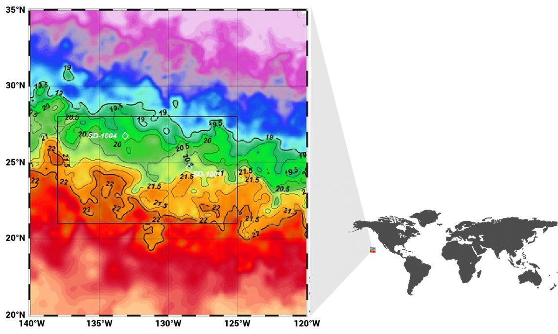 The Wild West - Schmidt Ocean Institute