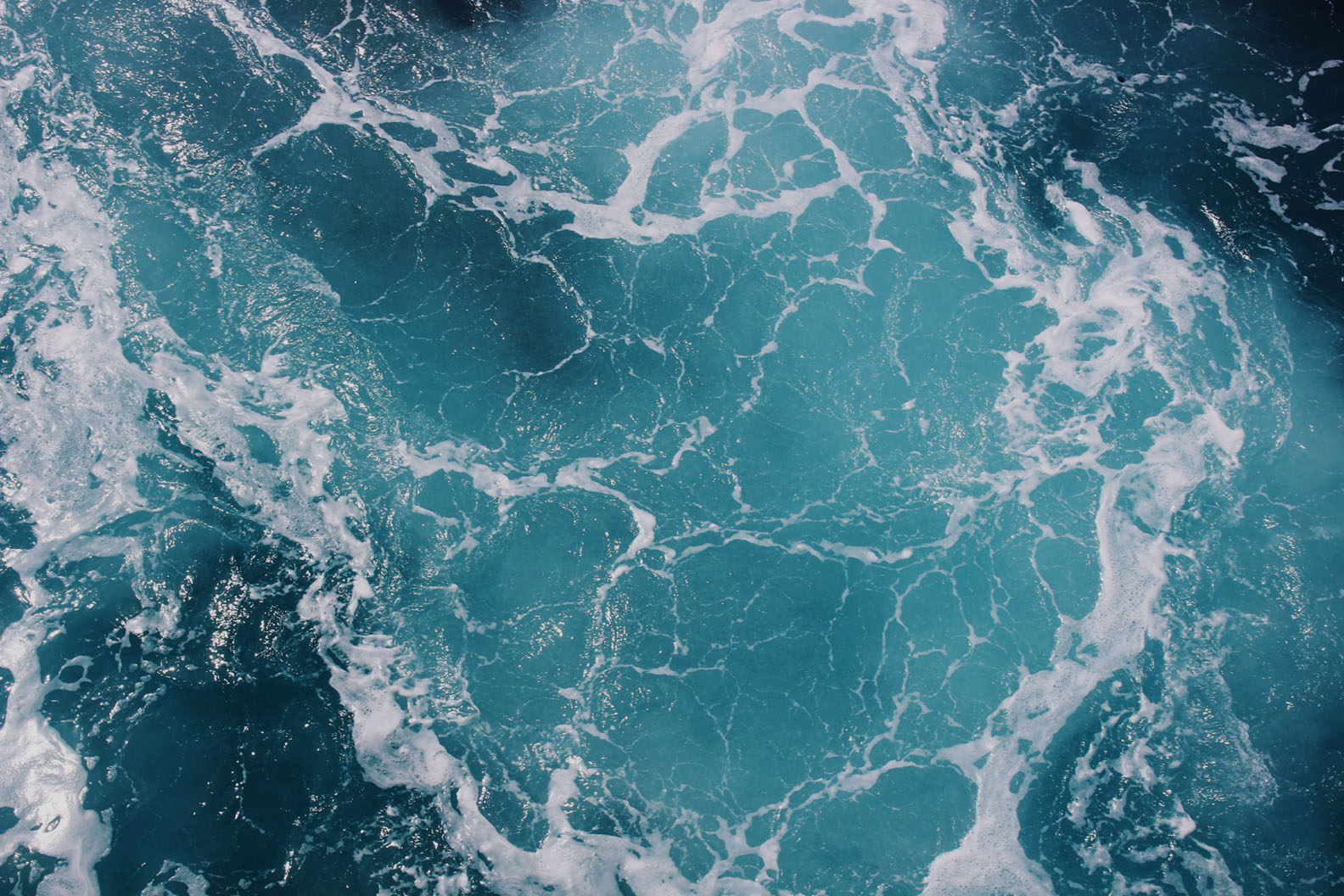 The Thrill of Discovery - Schmidt Ocean Institute