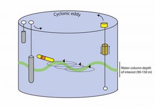 Eddy Exploration and Ecosystem Dynamics - Schmidt Ocean Institute