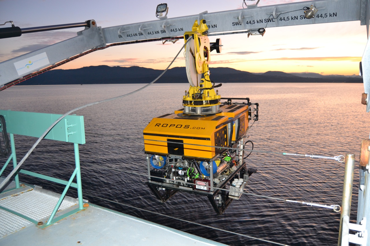 Leg Two, Open Ocean to Inner Sea - Schmidt Ocean Institute