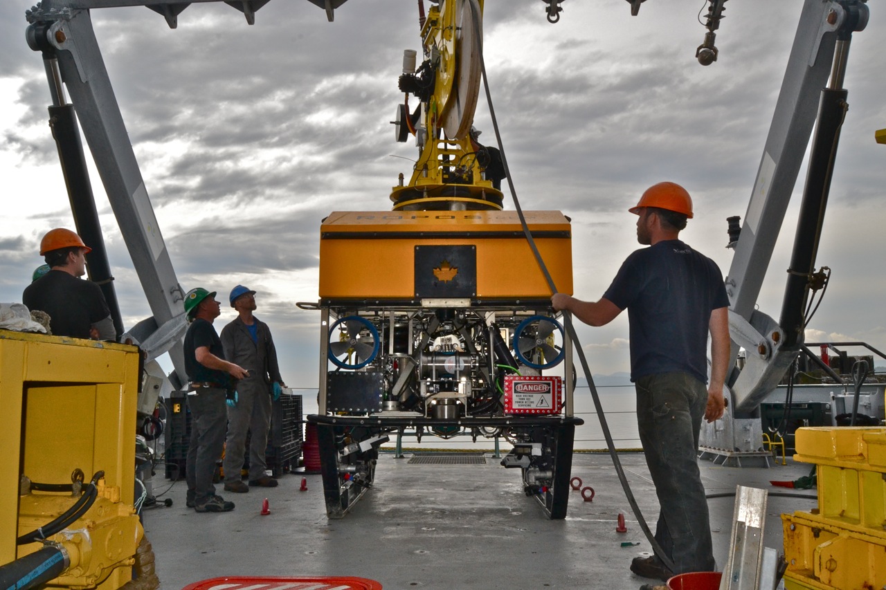 Leg Two, Open Ocean to Inner Sea - Schmidt Ocean Institute