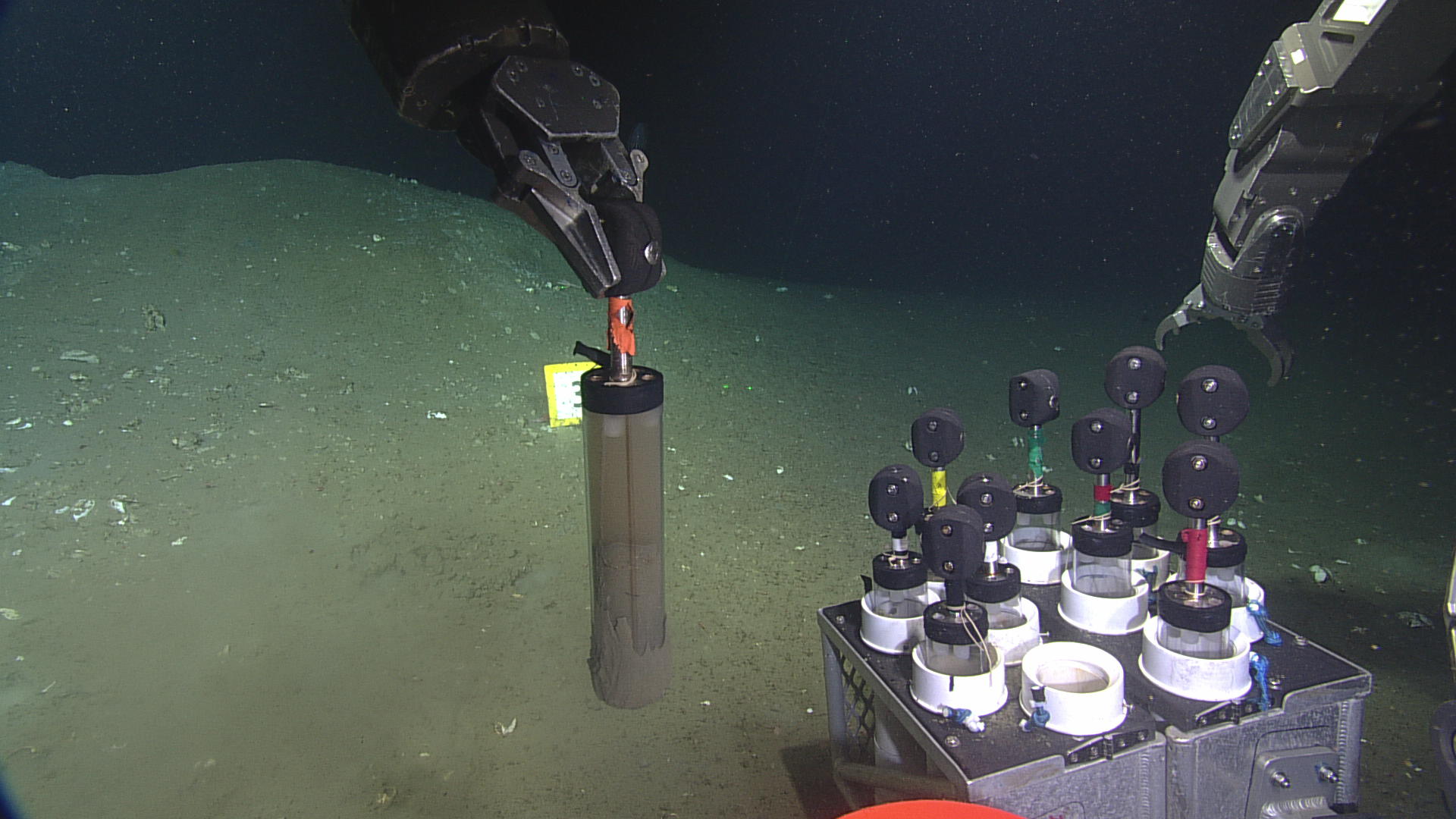 Leg Two, Open Ocean to Inner Sea - Schmidt Ocean Institute