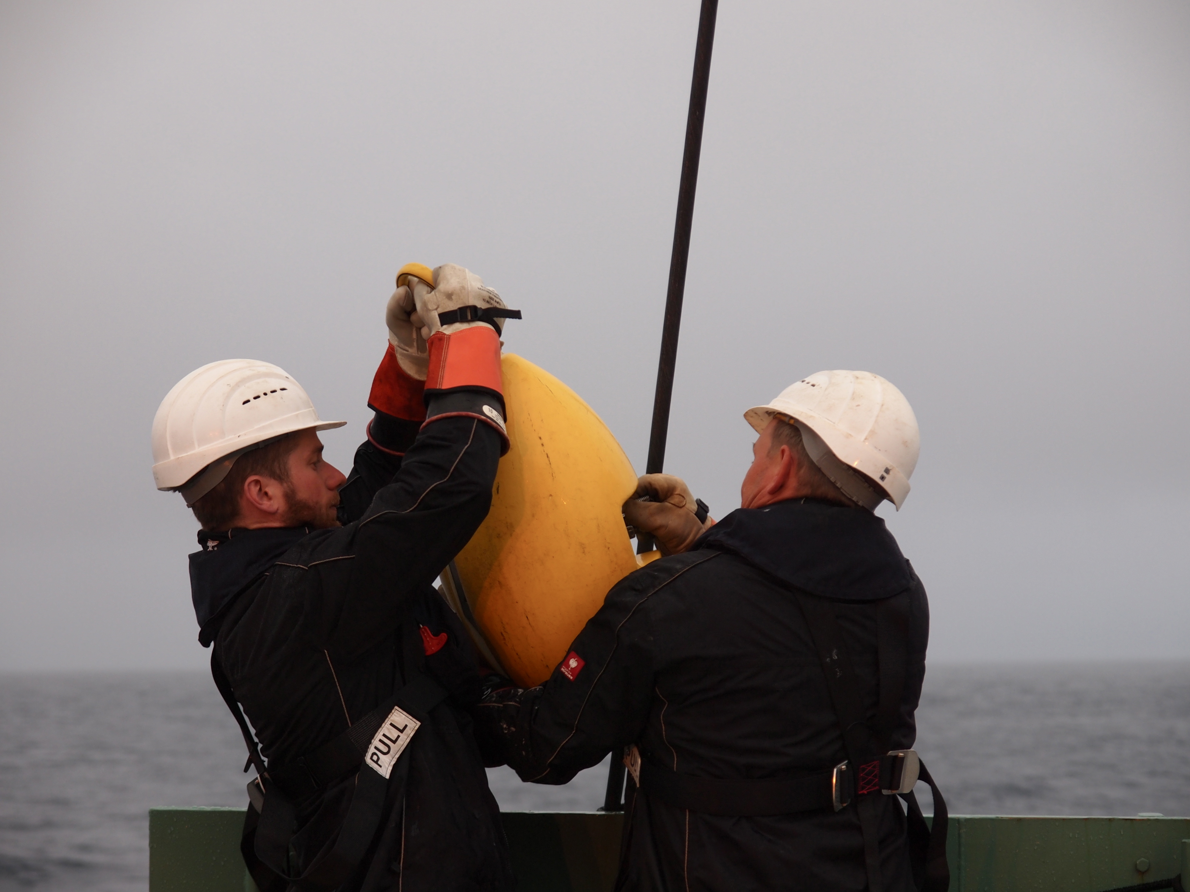 Axial Seamount - Schmidt Ocean Institute