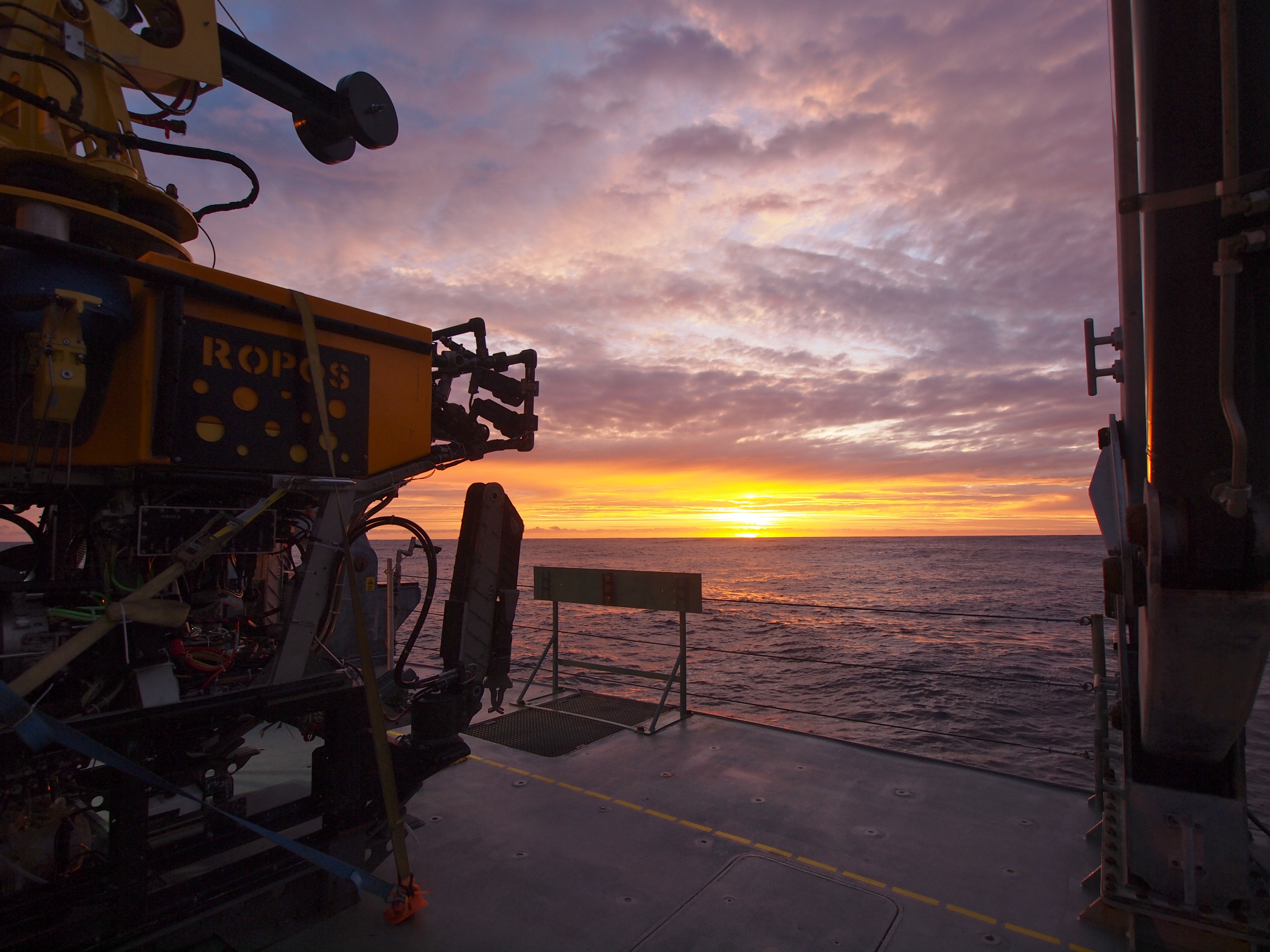 Axial Seamount - Schmidt Ocean Institute