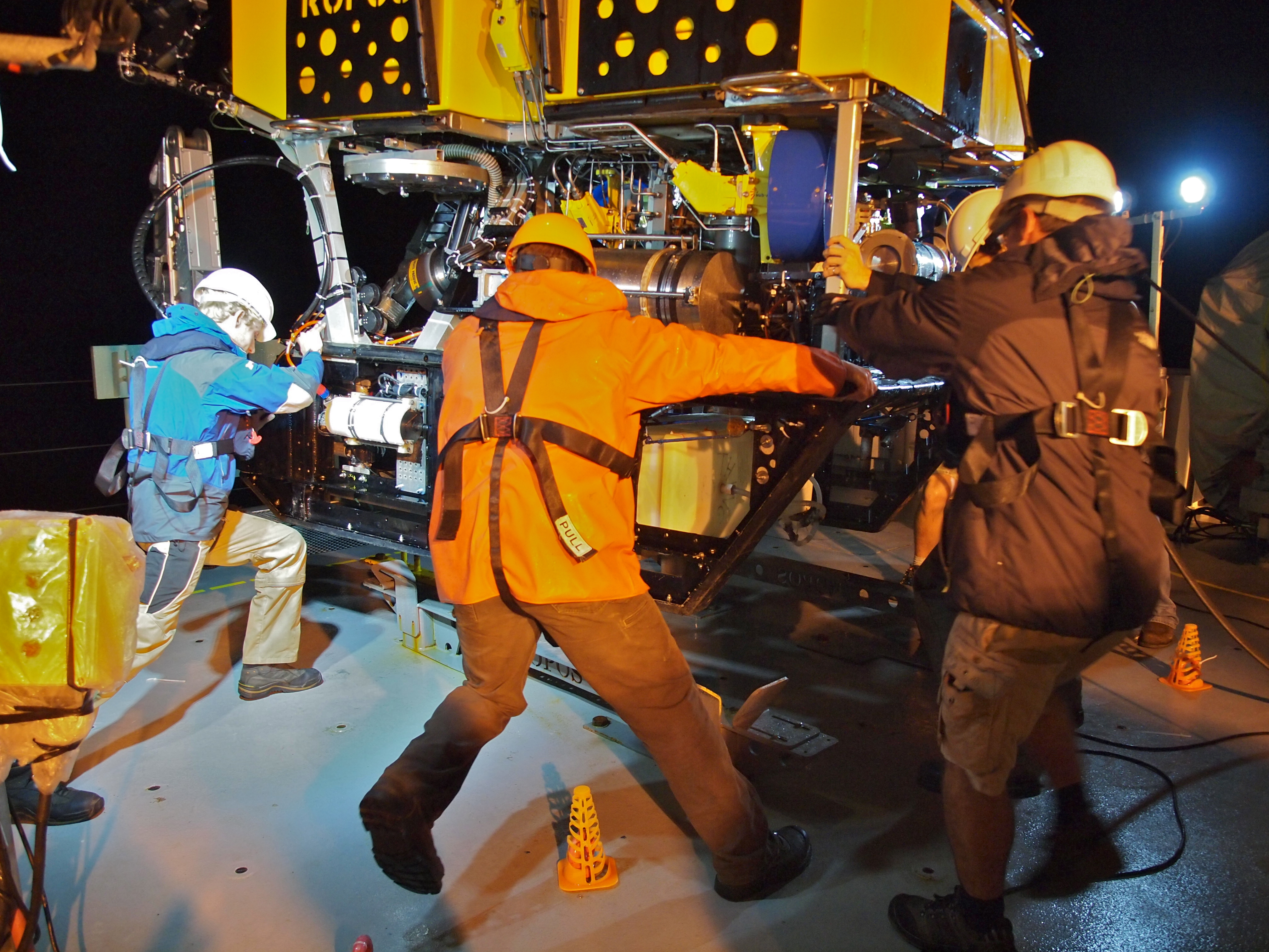 Axial Seamount - Schmidt Ocean Institute