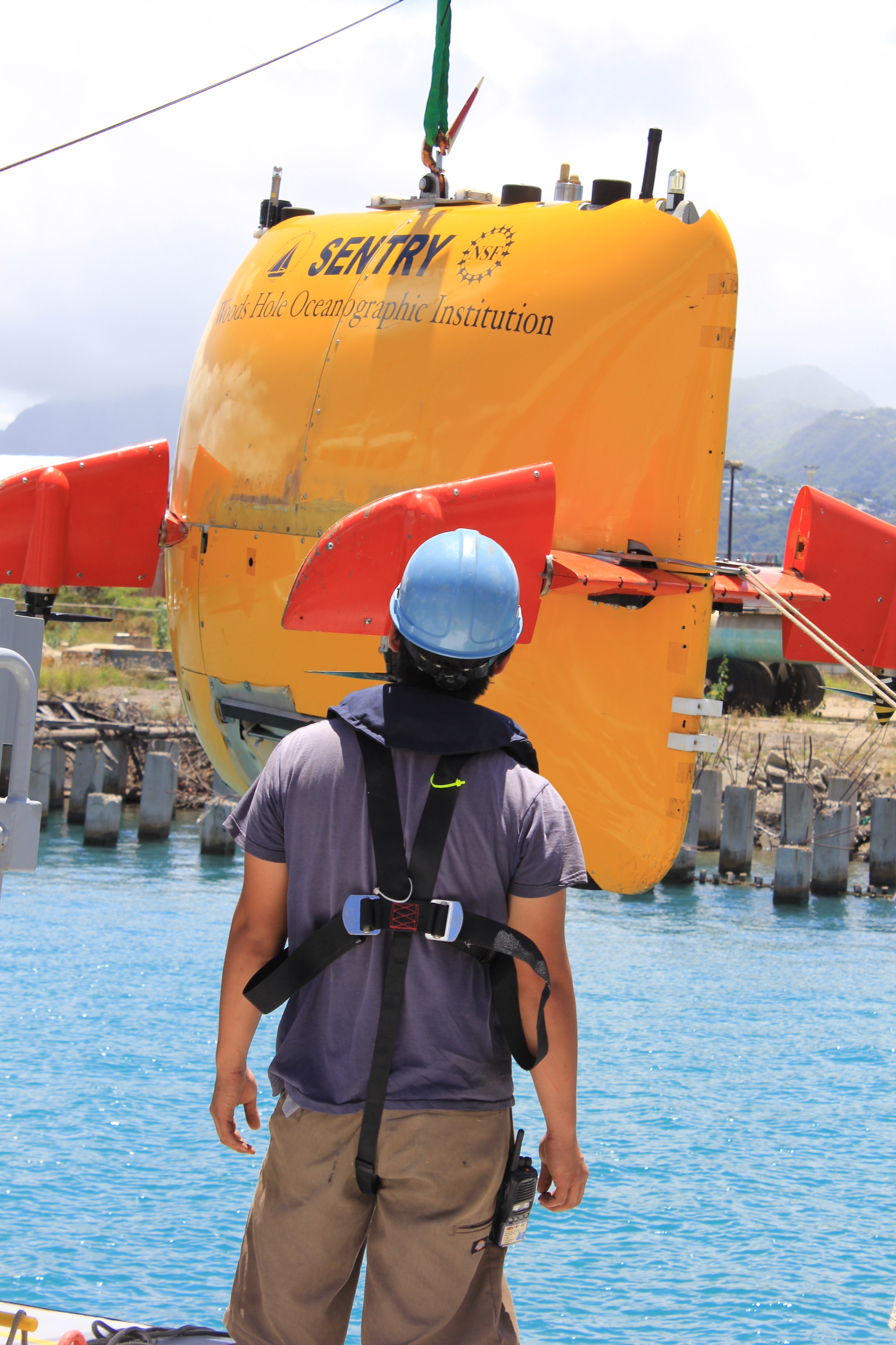 The Iron eaters of Loihi Seamount - Schmidt Ocean Institute