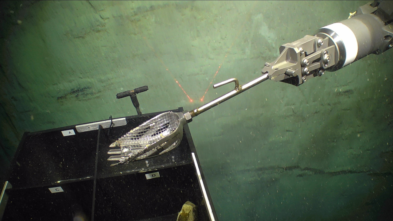 Perth Canyon - First Deep Exploration - Schmidt Ocean Institute