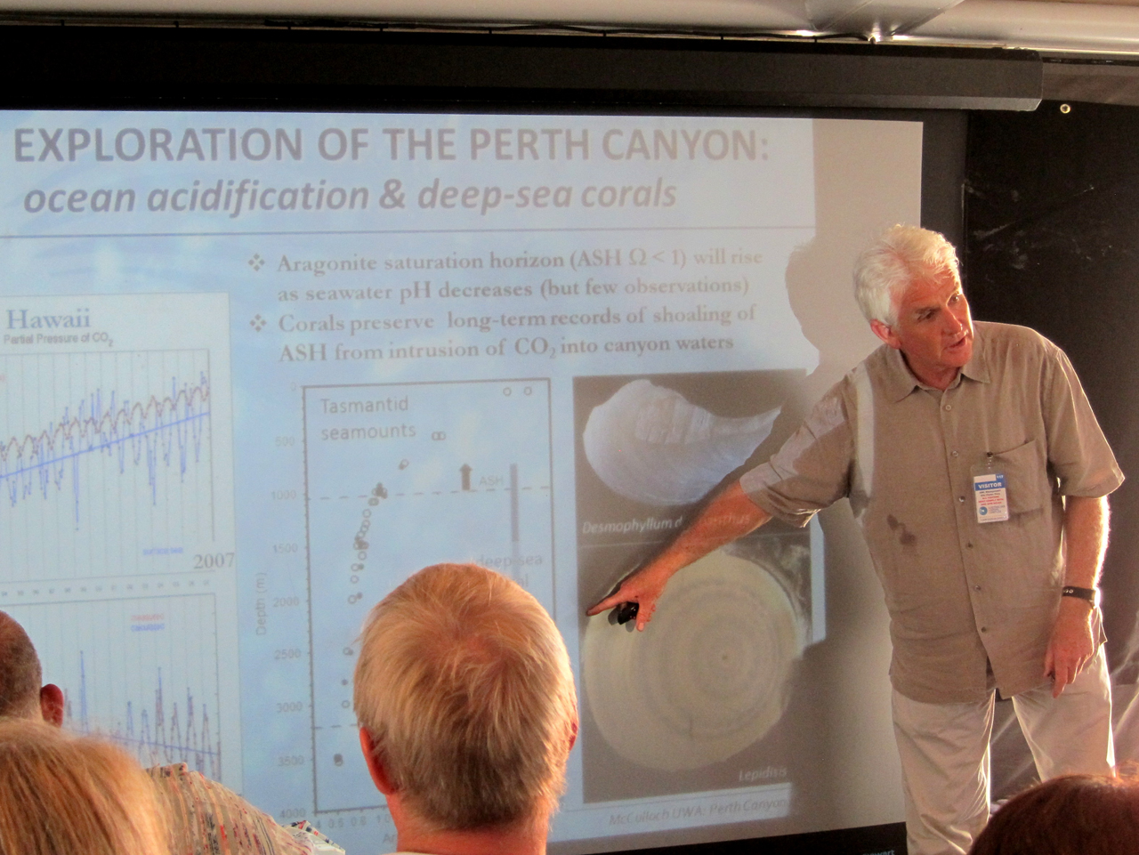 Perth Canyon - First Deep Exploration - Schmidt Ocean Institute