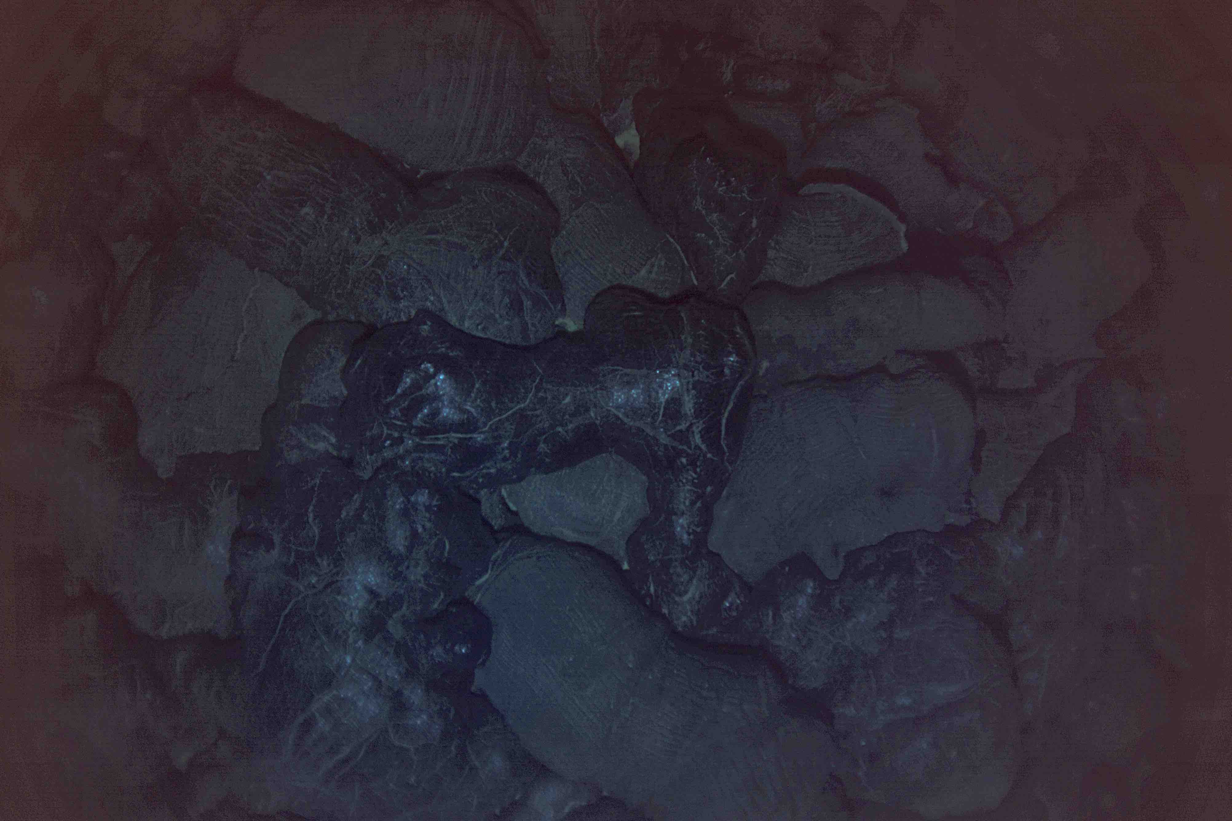 Surprise: Young Lava! - Schmidt Ocean Institute