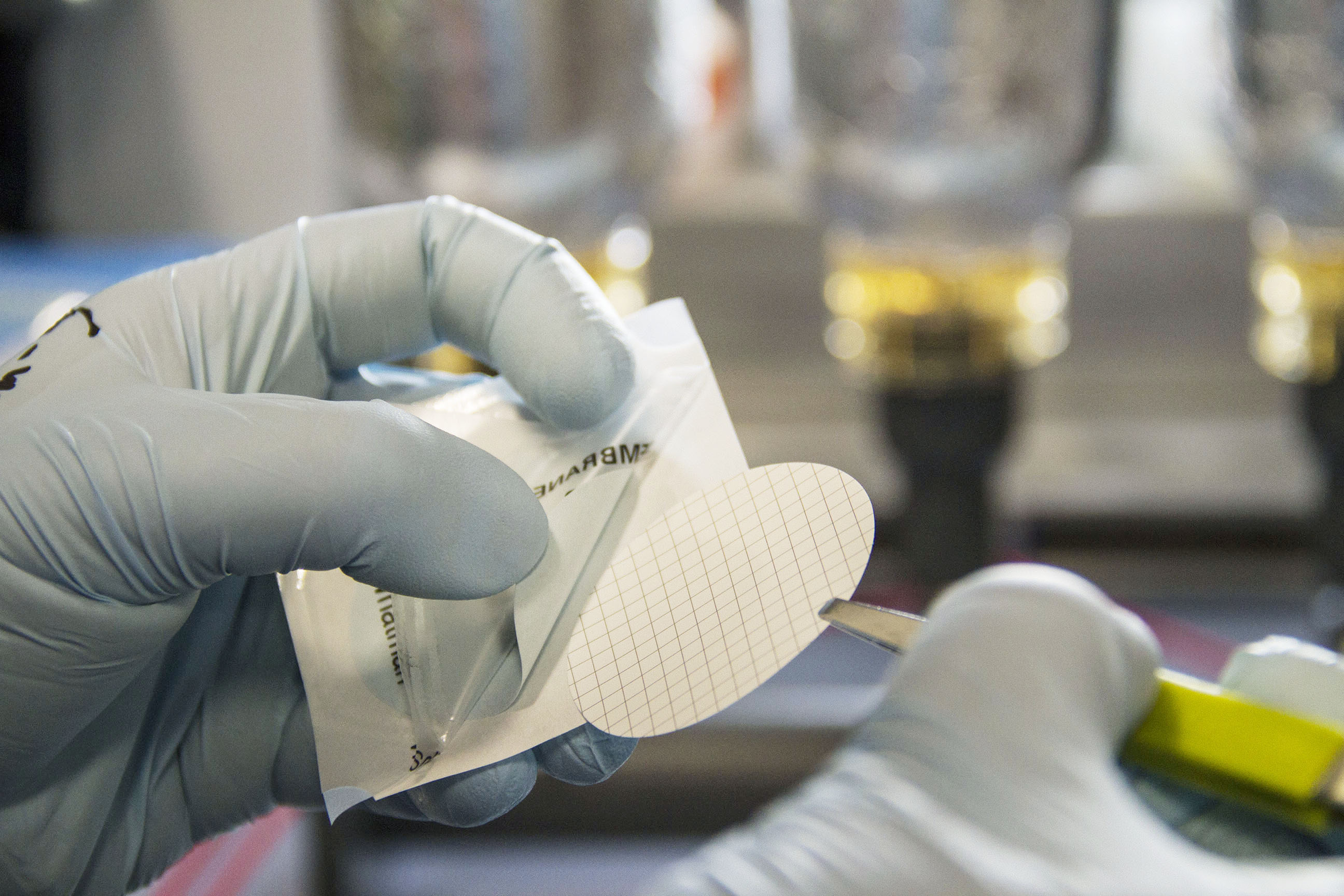 Study of the Sea-Surface Microlayer and Air-Sea Boundary - Schmidt ...