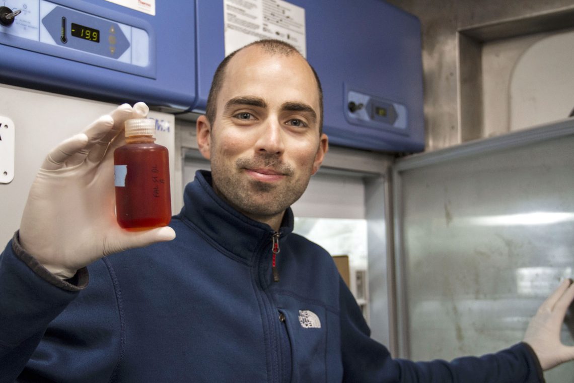 Microbes Run the Show - Schmidt Ocean Institute