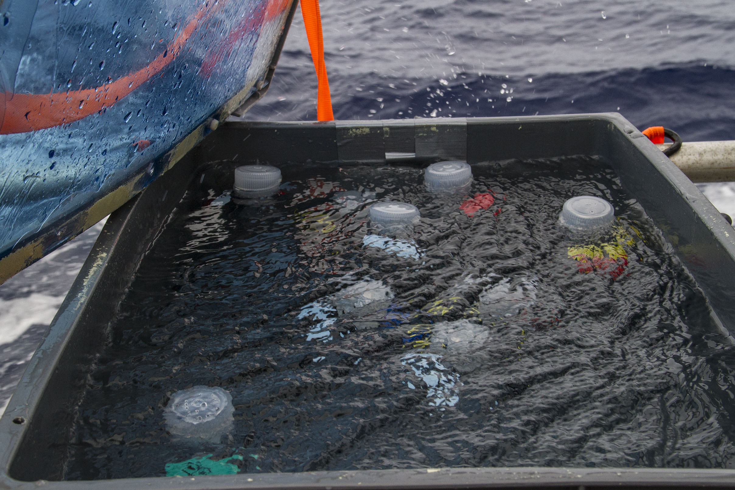 Sea To Space Particle Investigation - Schmidt Ocean Institute