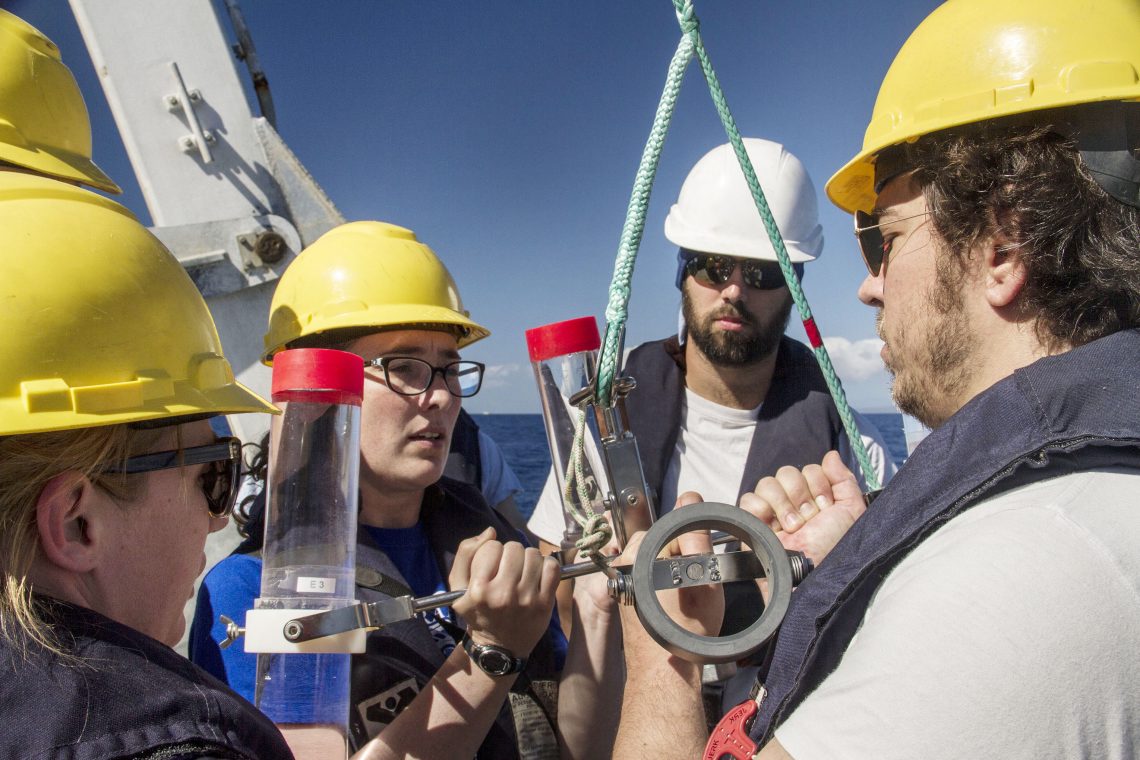 The Buzz - Schmidt Ocean Institute