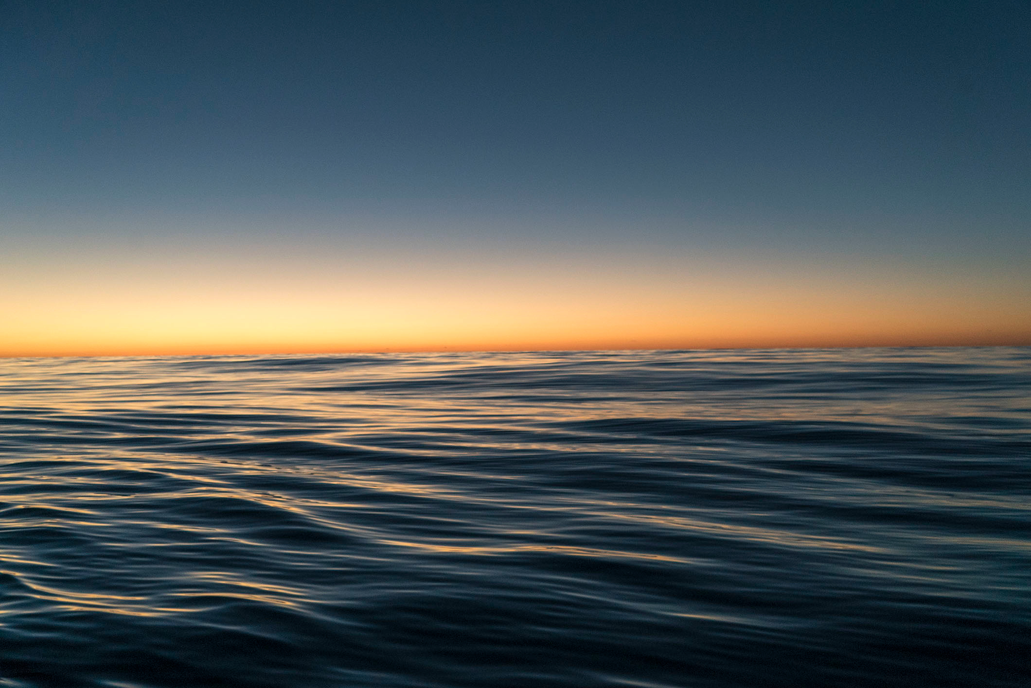 ECO Magazine Launches Deep Dive Series for 2023 - Schmidt Ocean Institute