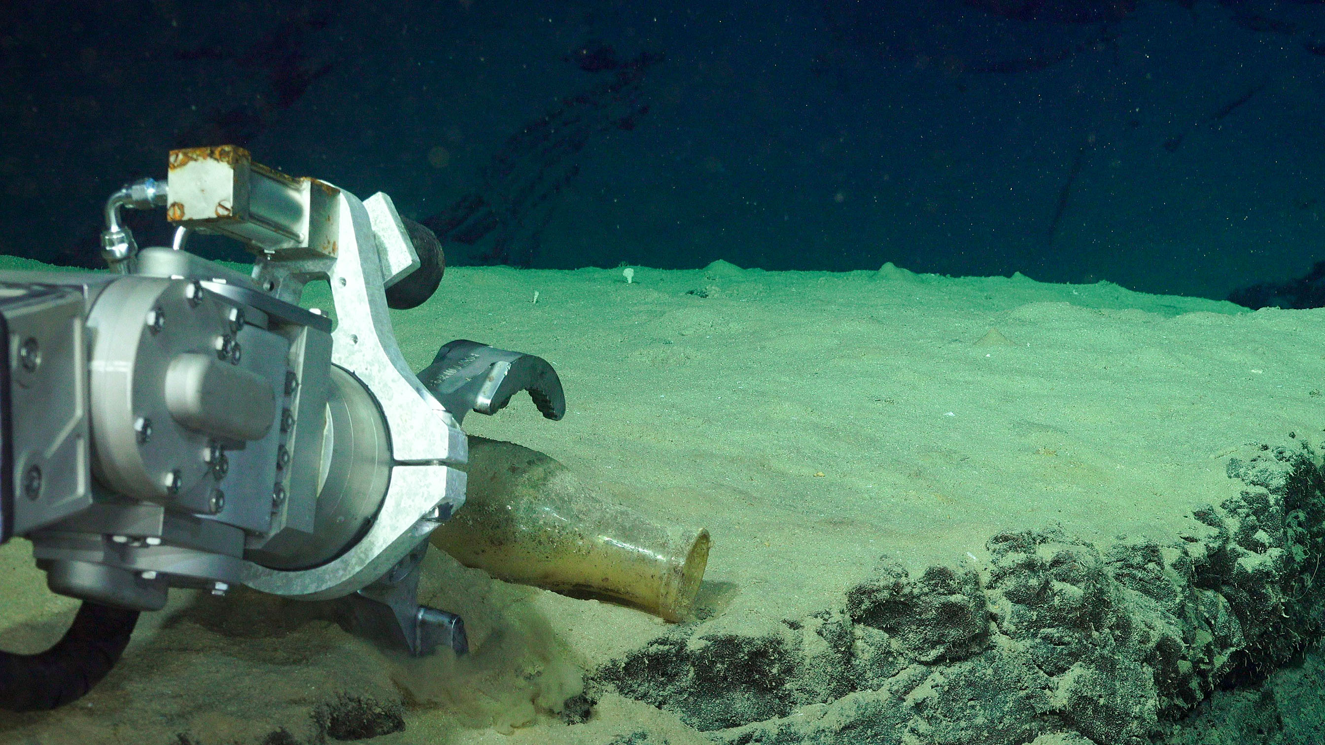 We Have All Been Here - Schmidt Ocean Institute