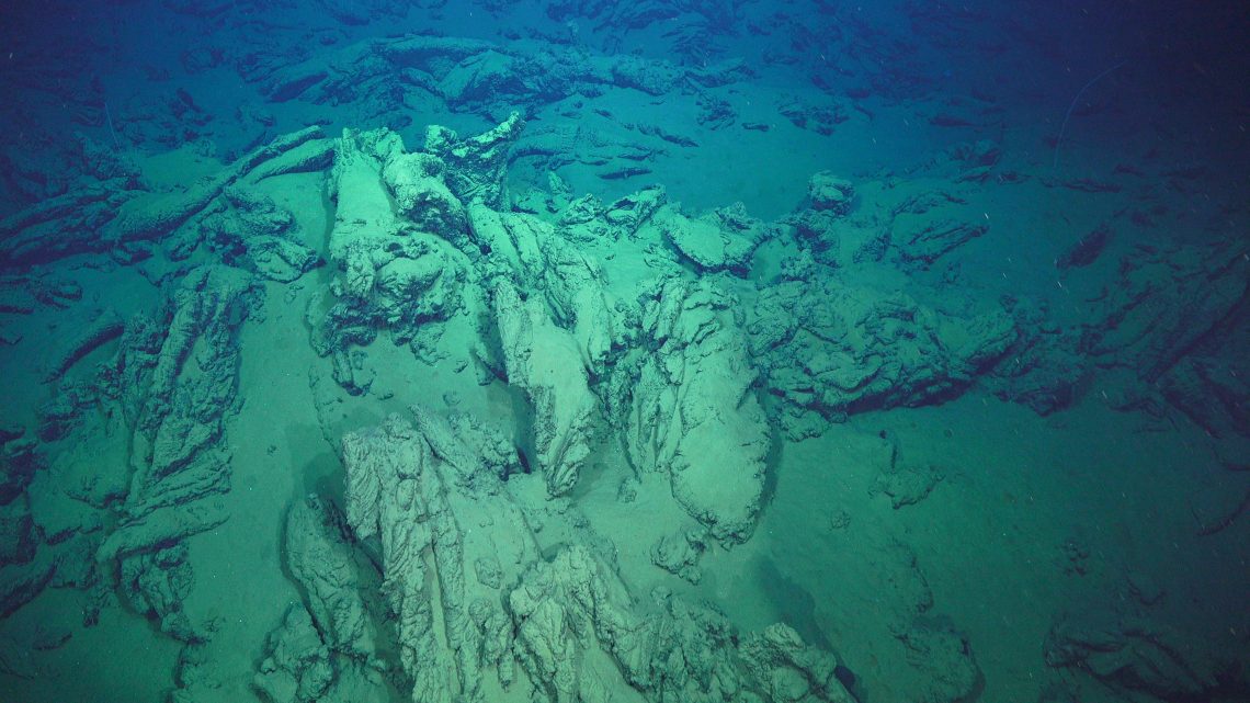 Where Are All These Matas? - Schmidt Ocean Institute