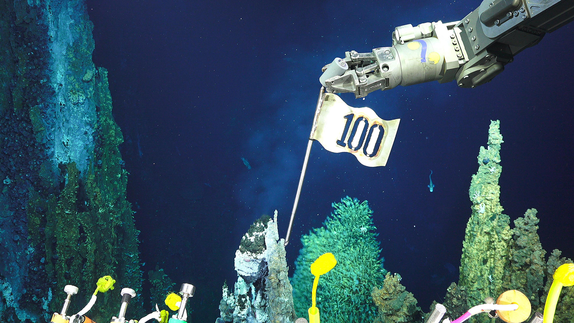 Underwater Fire - Studying the Submarine Volcanoes of Tonga - Schmidt ...
