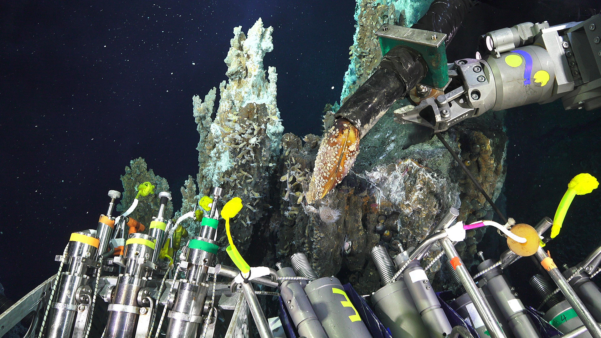 Underwater Fire - Studying the Submarine Volcanoes of Tonga - Schmidt ...