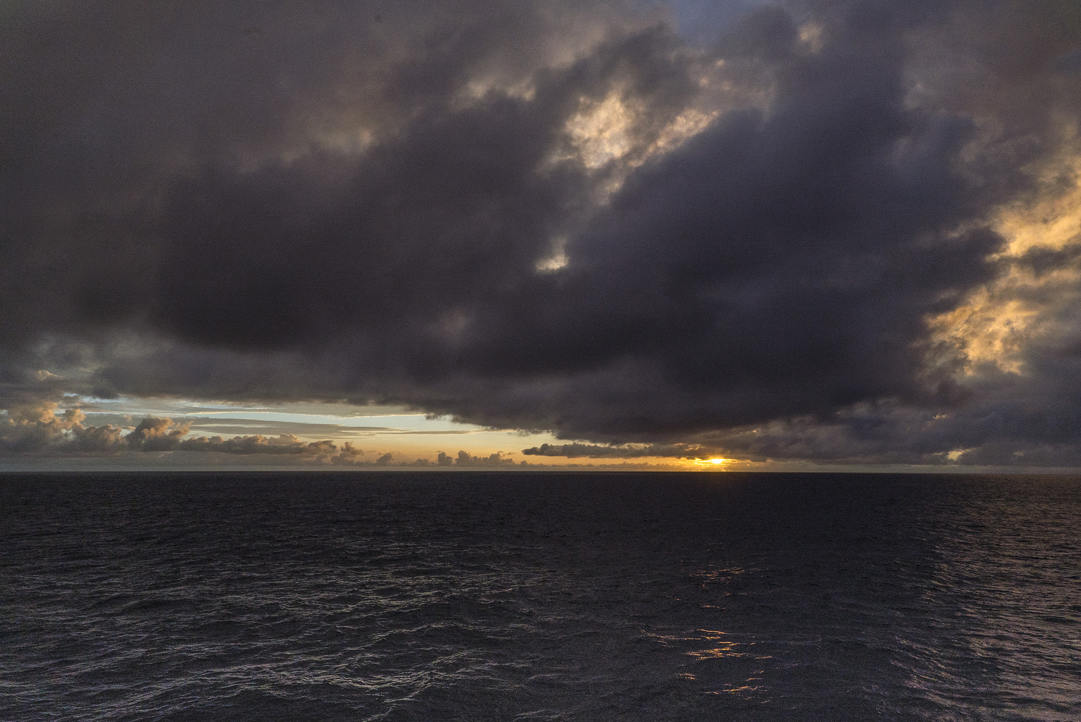 Exploring a Recent Eruption Site - Schmidt Ocean Institute