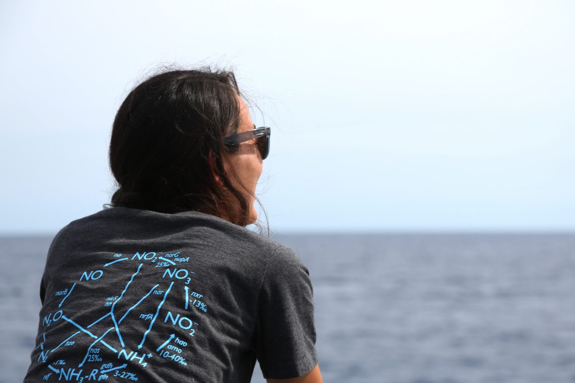 Building Microbe Homes - Schmidt Ocean Institute