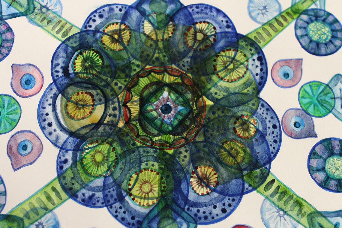A Whirlwind - Schmidt Ocean Institute