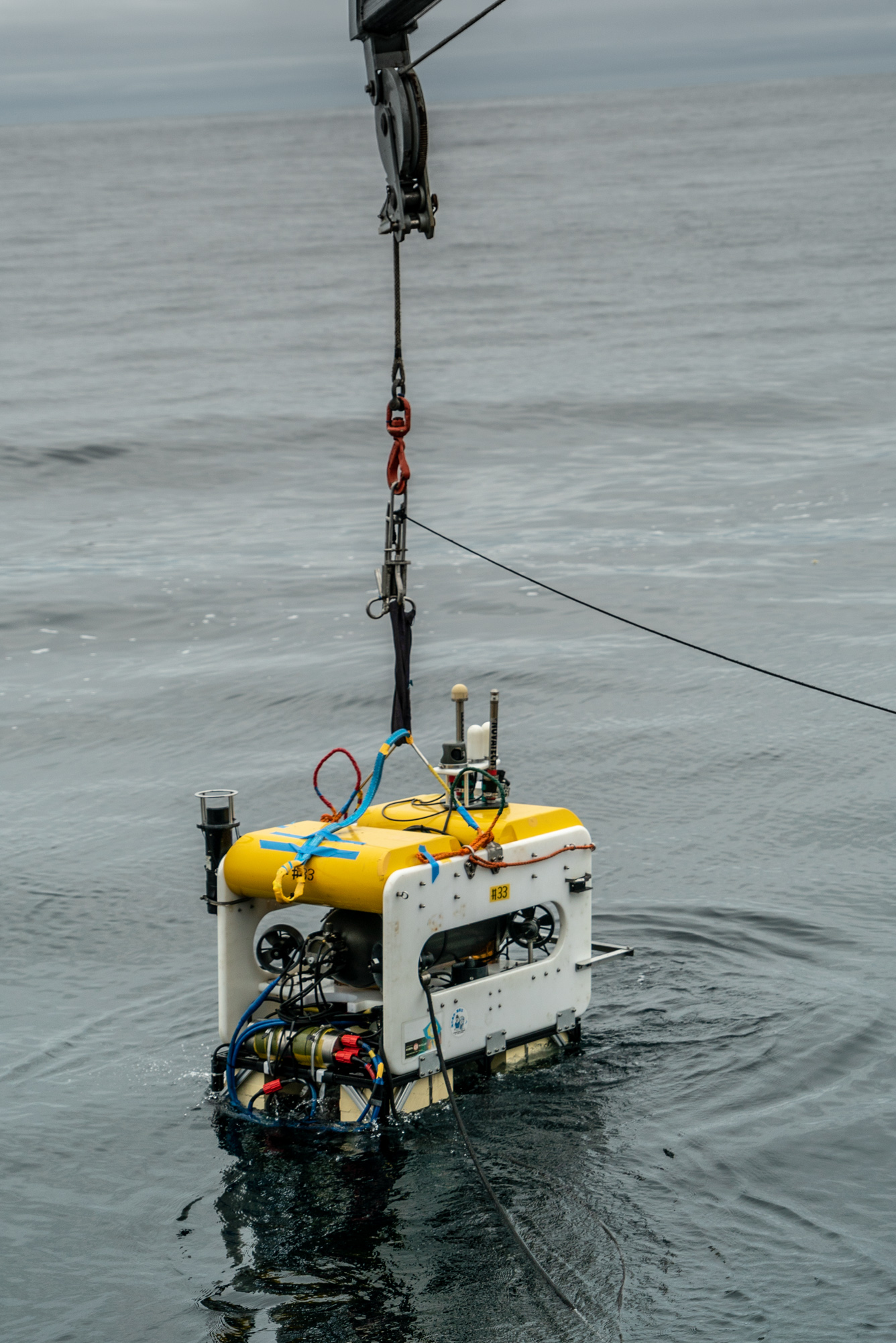 Phase 03: In the Details - Schmidt Ocean Institute