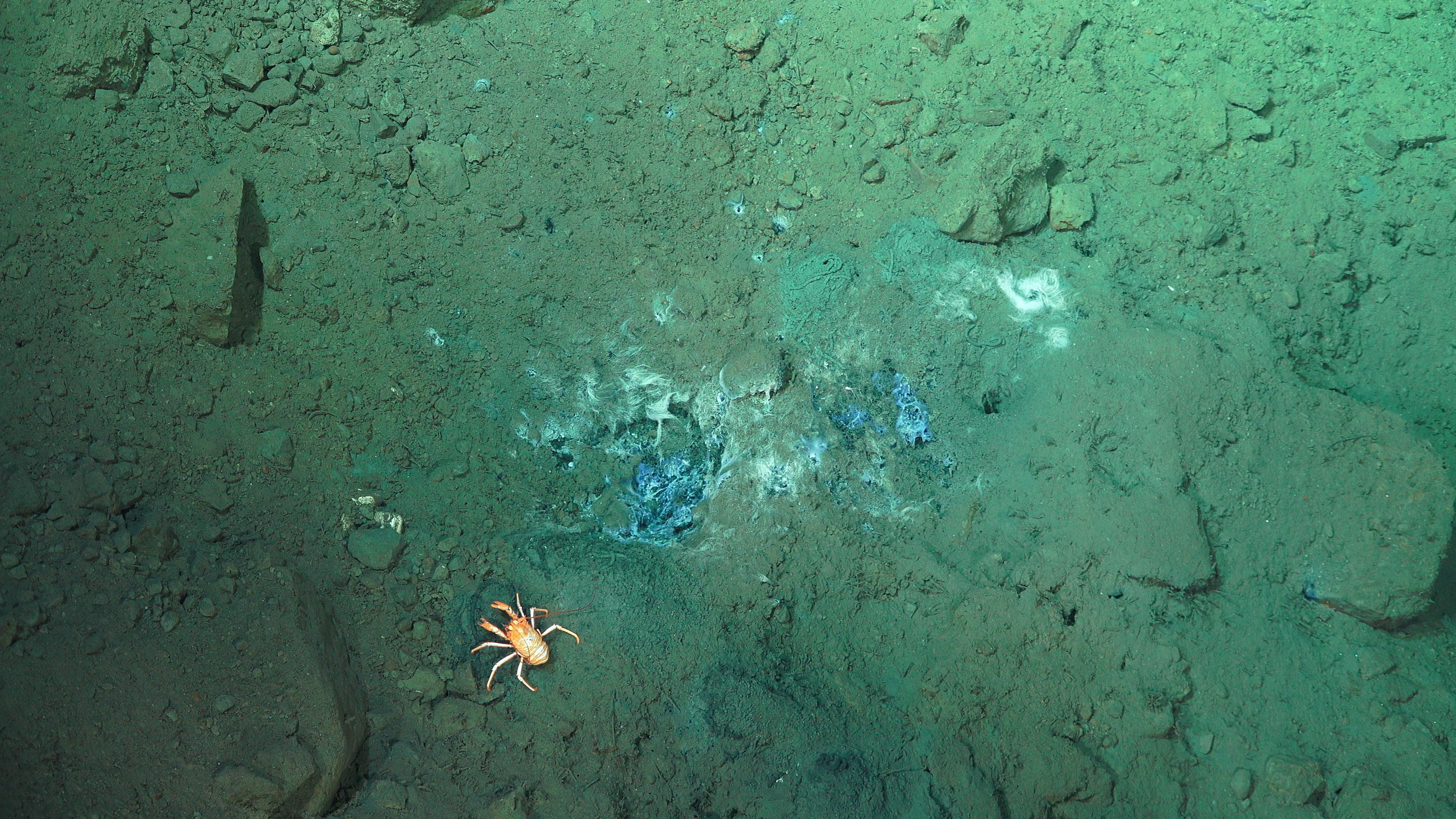 New Approaches To Autonomous Exploration At The Costa Rican Shelf Break ...