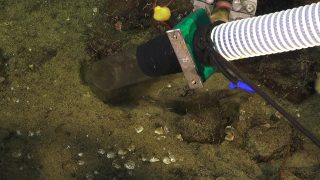 Slurp and Discover - Schmidt Ocean Institute