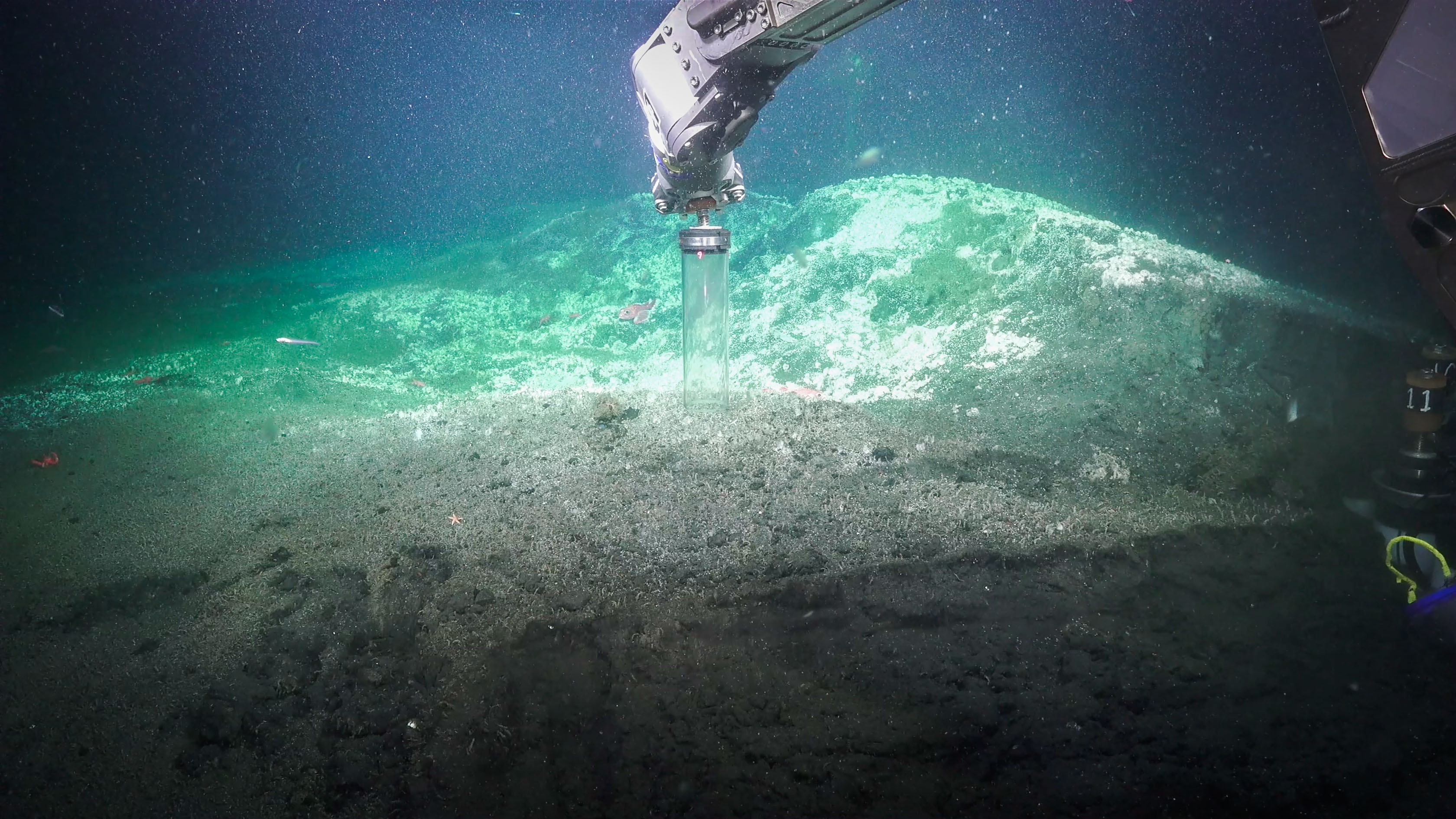 Observing Seafloor Methane Seeps at the Edge of Hydrate Stability ...
