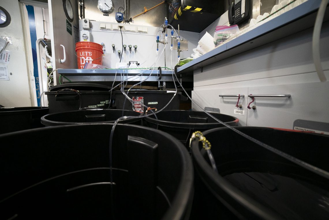 The Ocean is Radioactive - Schmidt Ocean Institute