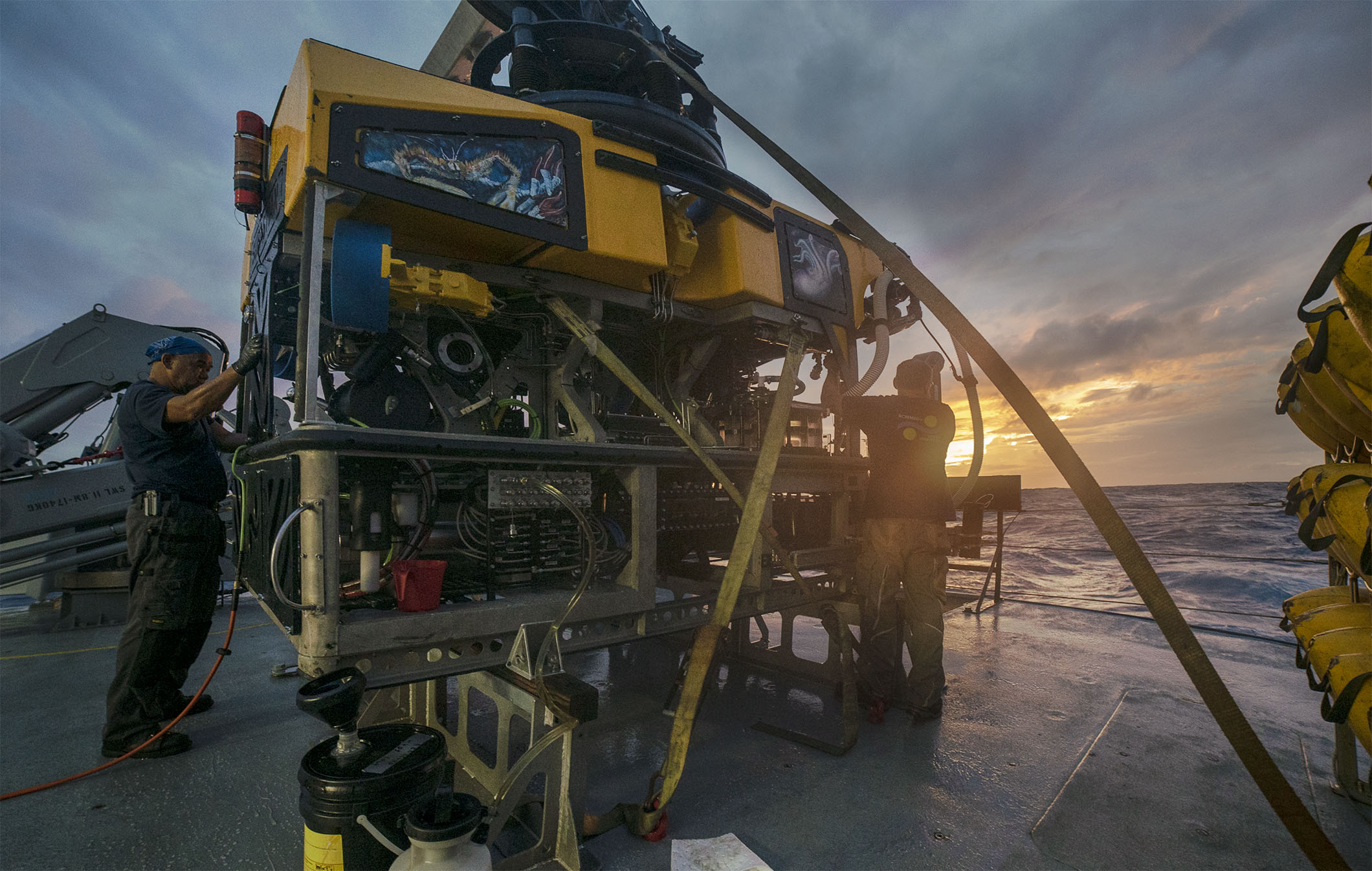 A Dive with SuBastian - Schmidt Ocean Institute