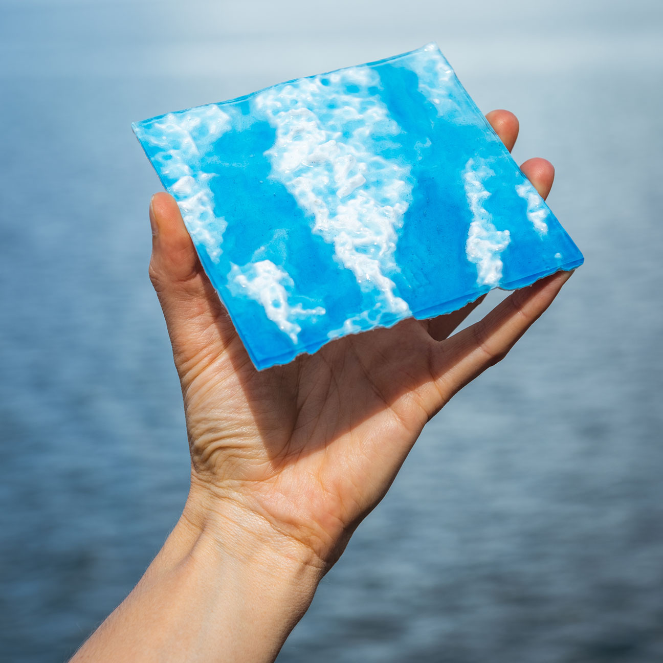 Artist-at-Sea Gallery - Schmidt Ocean Institute