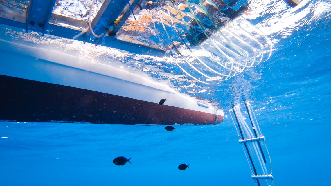 Skimming the Surface - Schmidt Ocean Institute