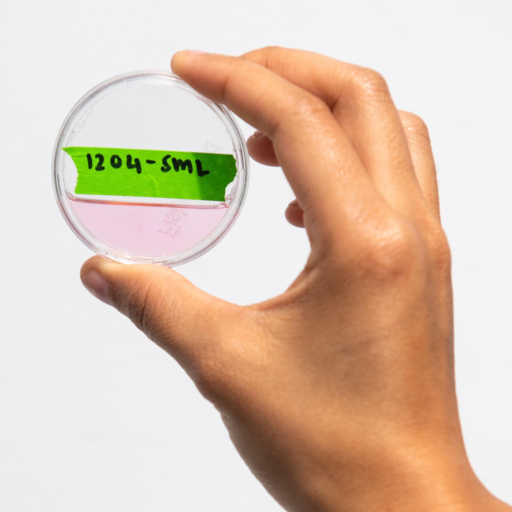 Studying the Sea-Surface Microlayer 2 - Schmidt Ocean Institute