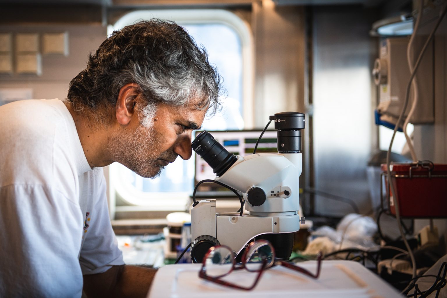 The Charismatic Microfauna of the Ocean - Schmidt Ocean Institute