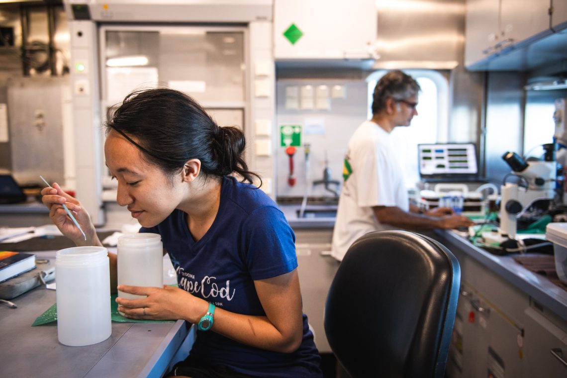 The Charismatic Microfauna of the Ocean - Schmidt Ocean Institute