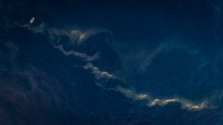 The Charismatic Microfauna of the Ocean - Schmidt Ocean Institute