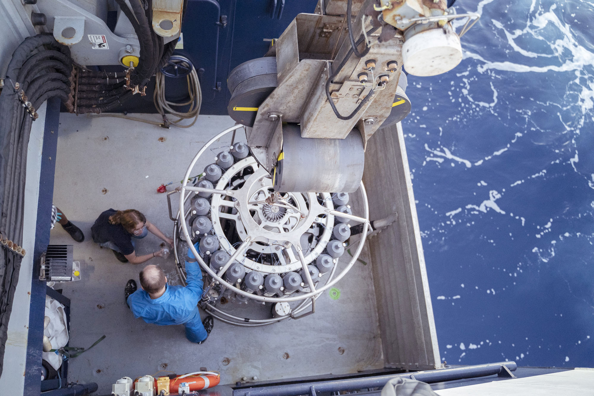 The Great Australian Deep-Sea Coral and Canyon Adventure - Schmidt ...
