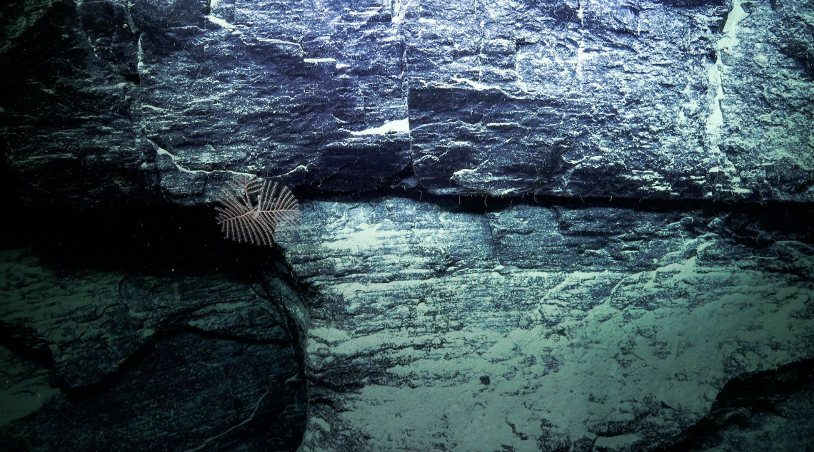 Geology at Sea - Schmidt Ocean Institute