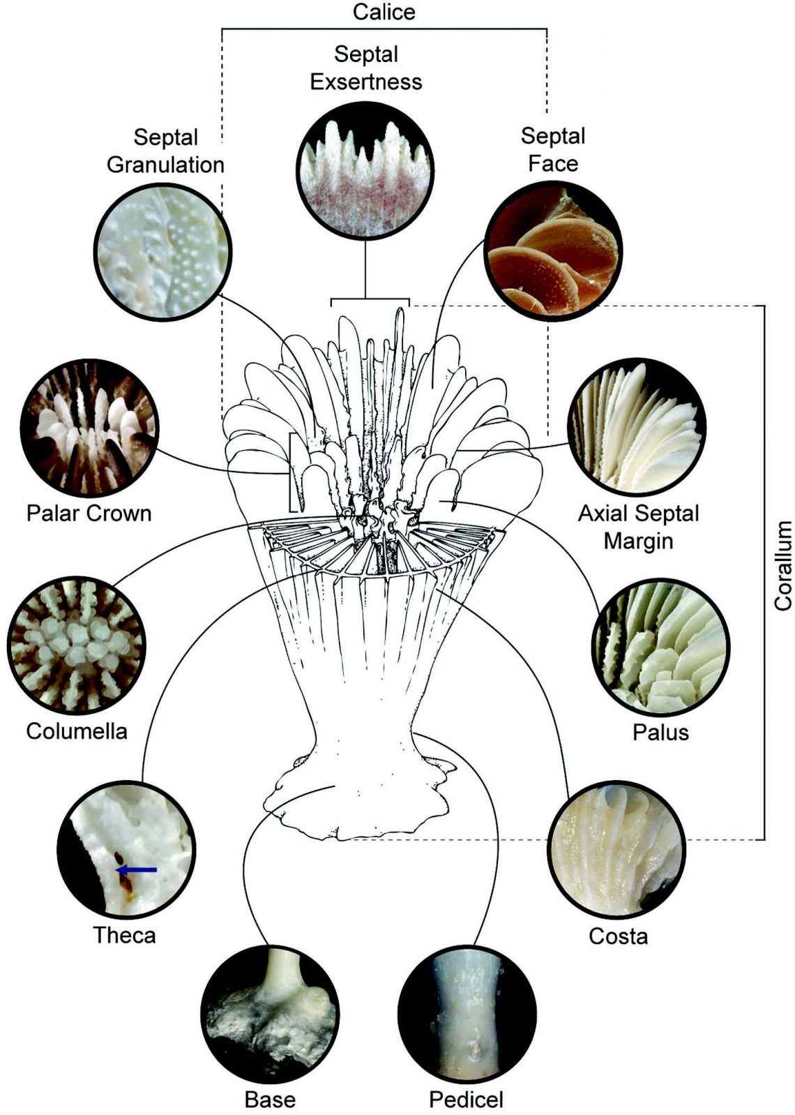 The Journey Before the Expedition - Schmidt Ocean Institute