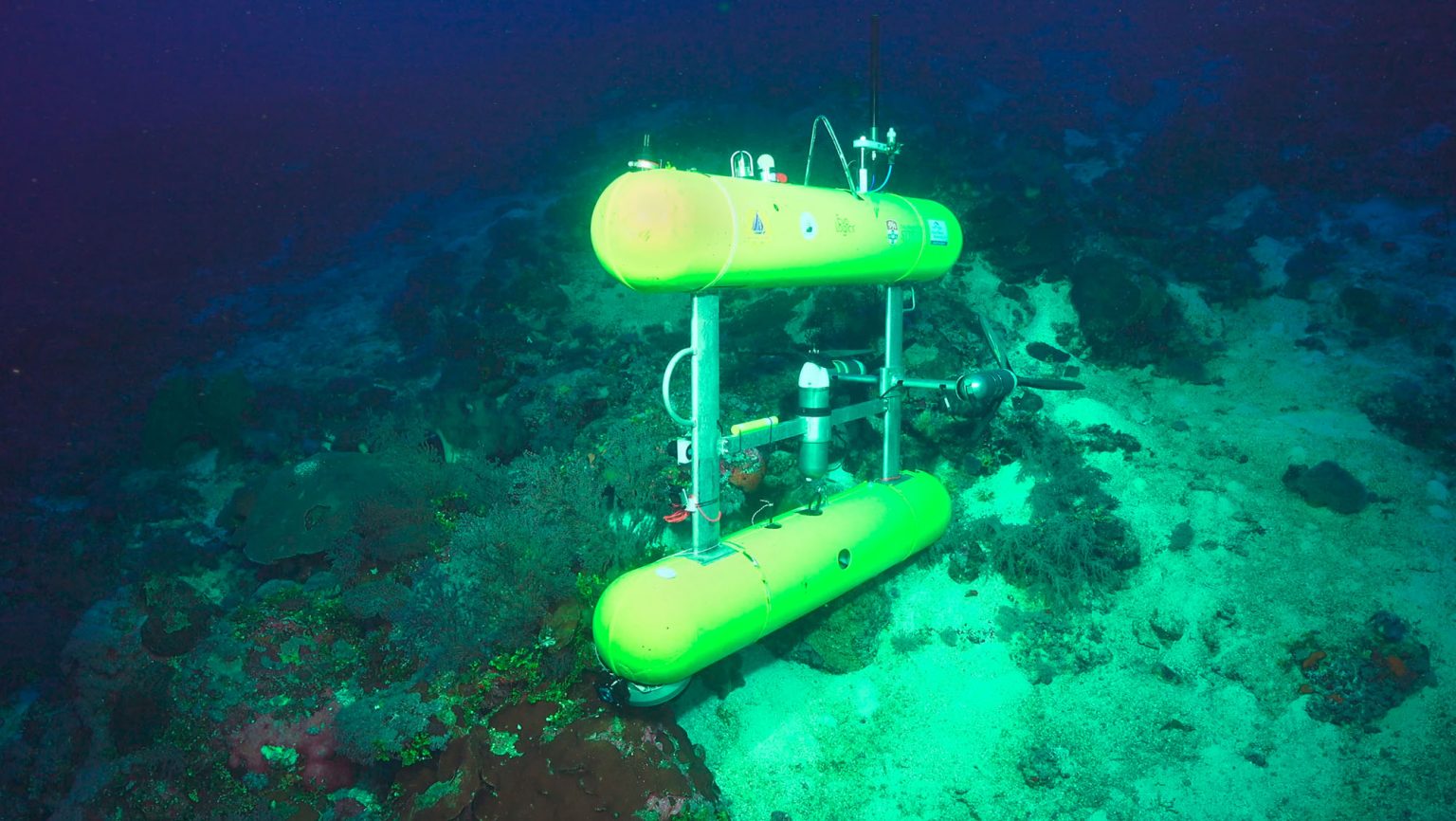 Into the unknown - Schmidt Ocean Institute