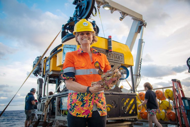 From Deep to Shallow - Schmidt Ocean Institute From Deep to Shallow - Schmidt Ocean Institute